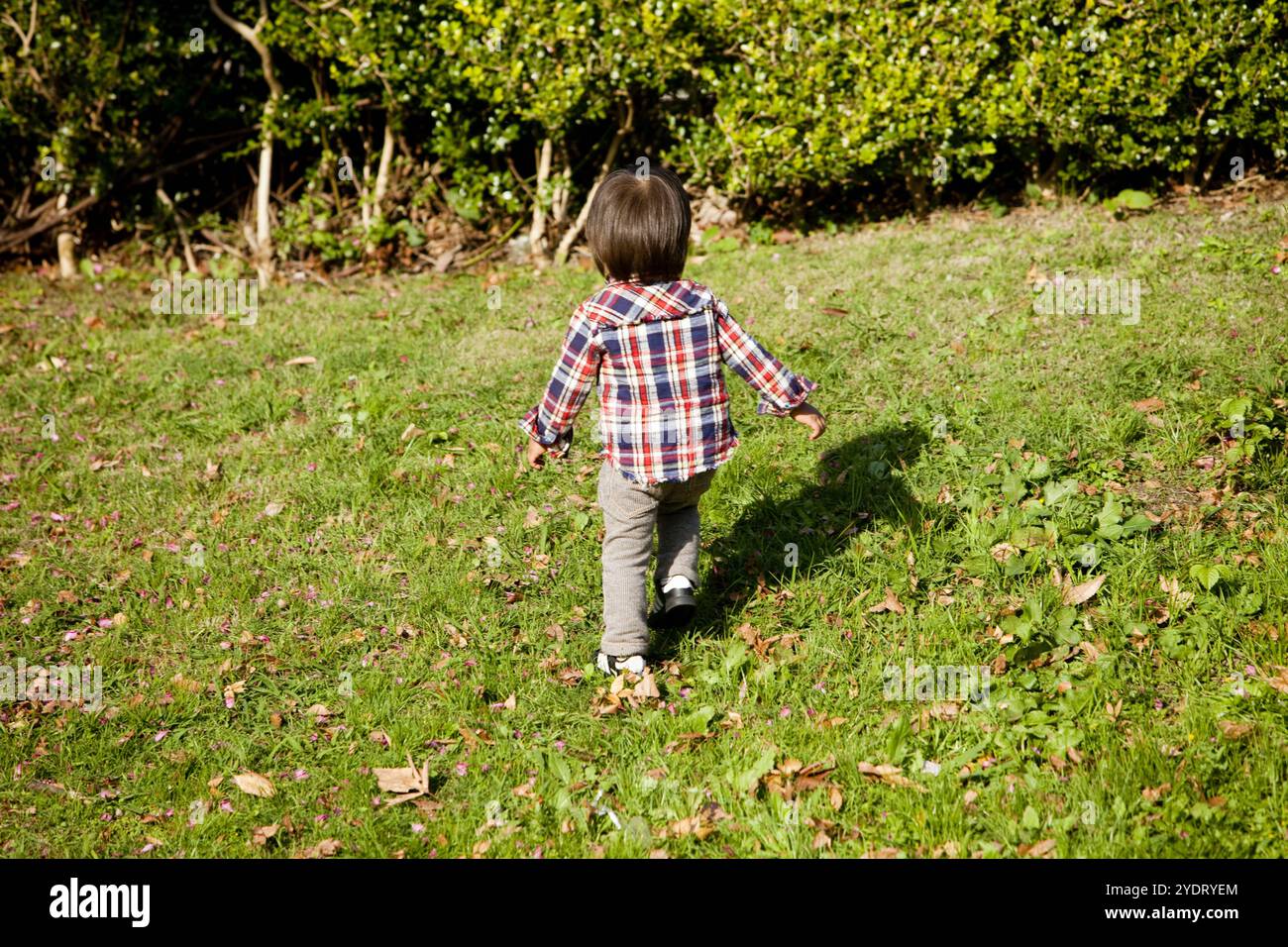 Little boy back view Stock Photo - Alamy