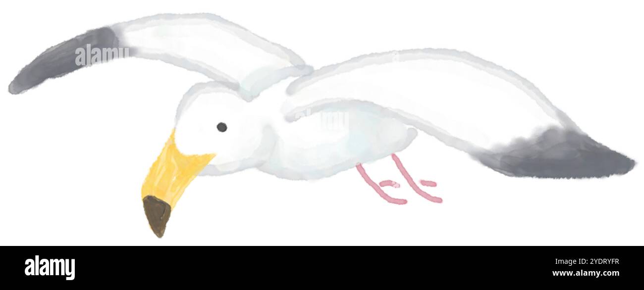 Seagull watercolor Cut Out Stock Images & Pictures - Alamy