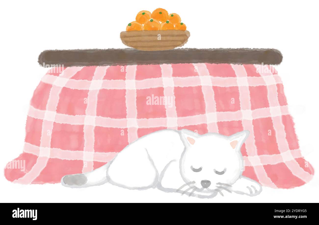 Cat sleeping at a kotatsu Stock Photo - Alamy