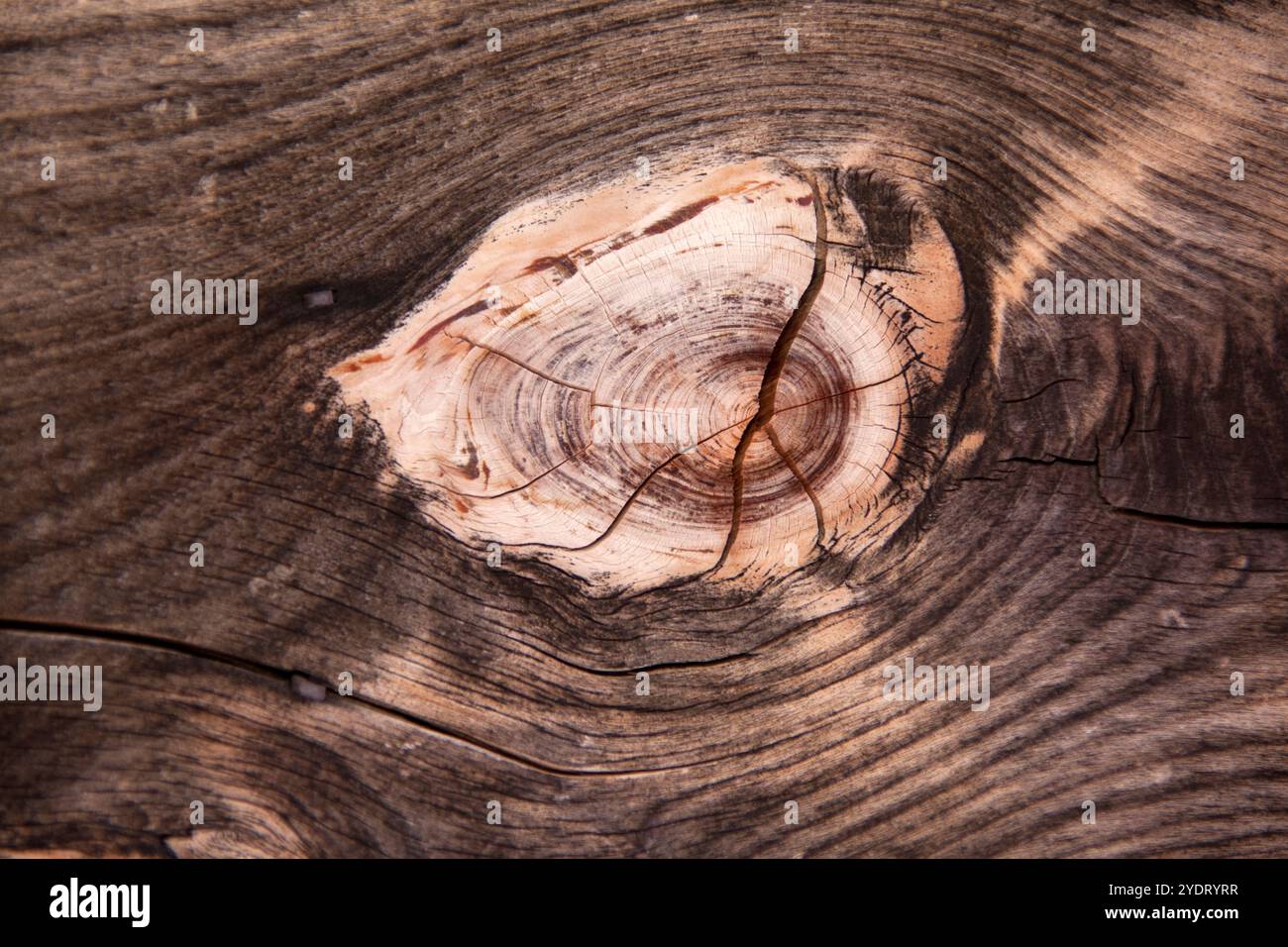 Knots in wood hi-res stock photography and images - Alamy