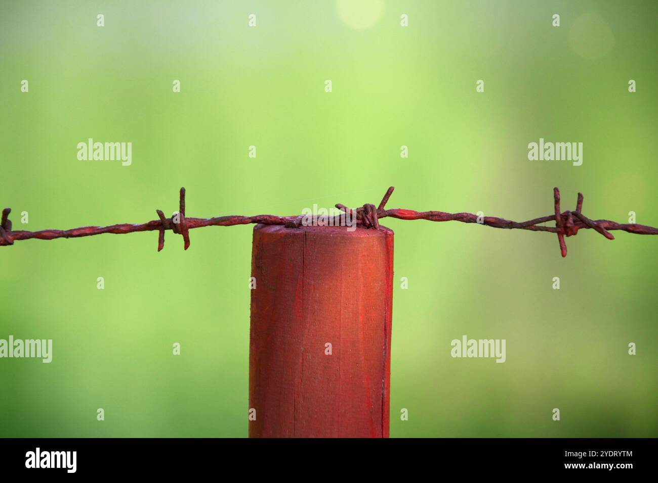 Pile of wire hi-res stock photography and images - Alamy
