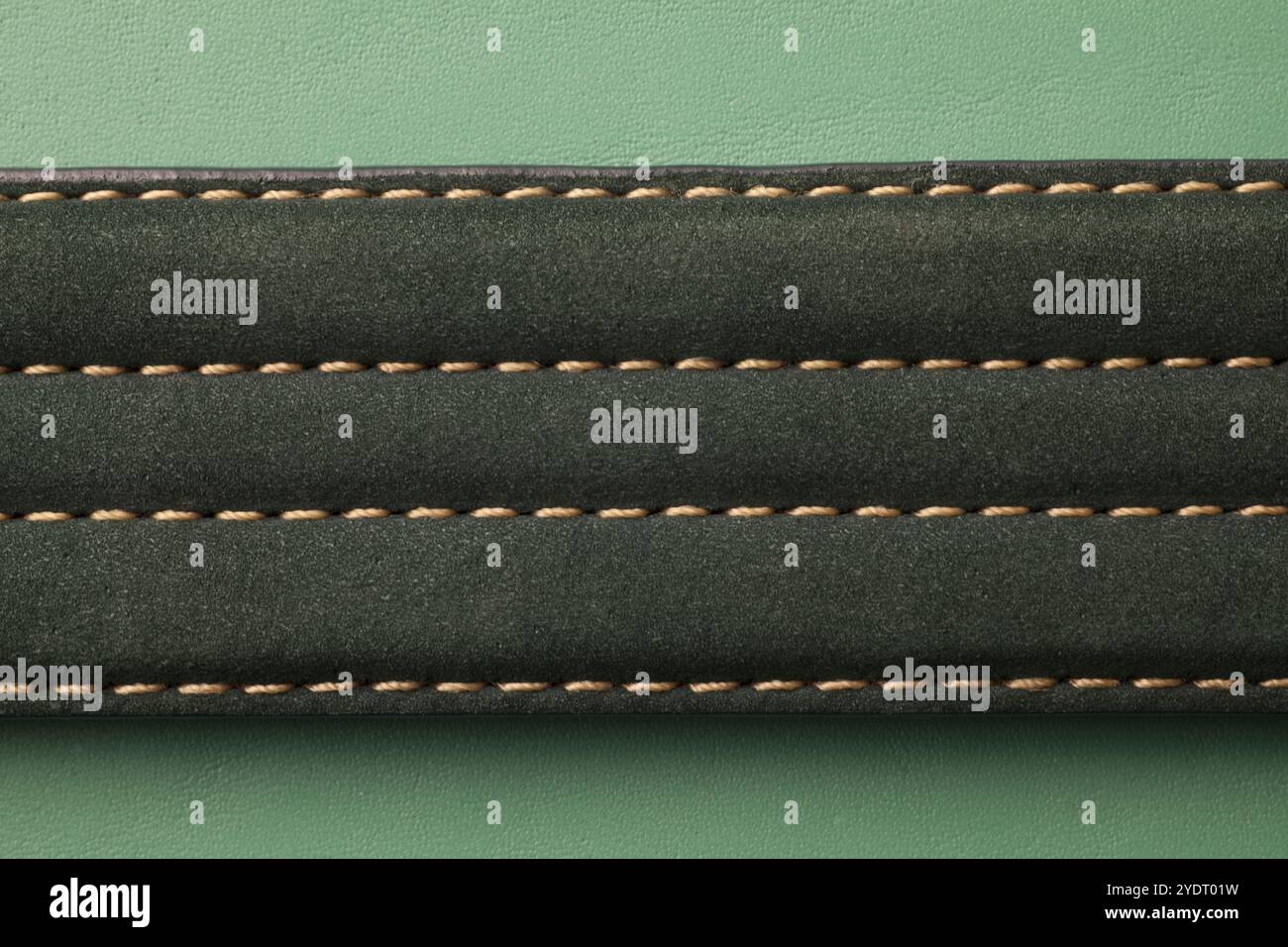 Stitching on a belt Stock Photo - Alamy