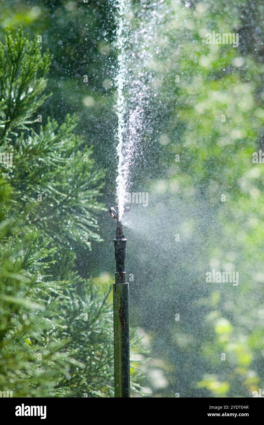 Sprinkler automatic hi-res stock photography and images - Alamy