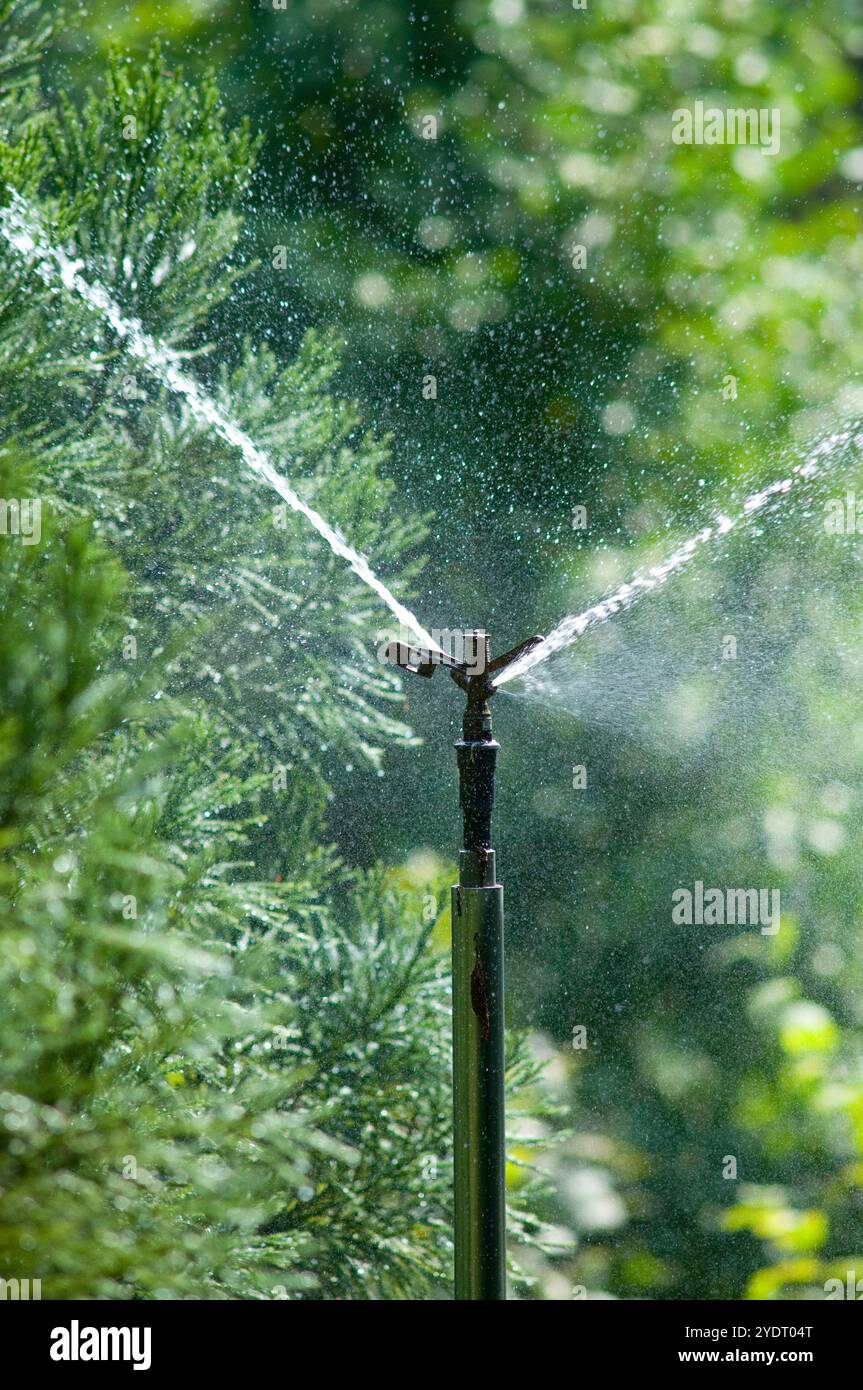 Sprinkler automatic watering hi-res stock photography and images - Alamy