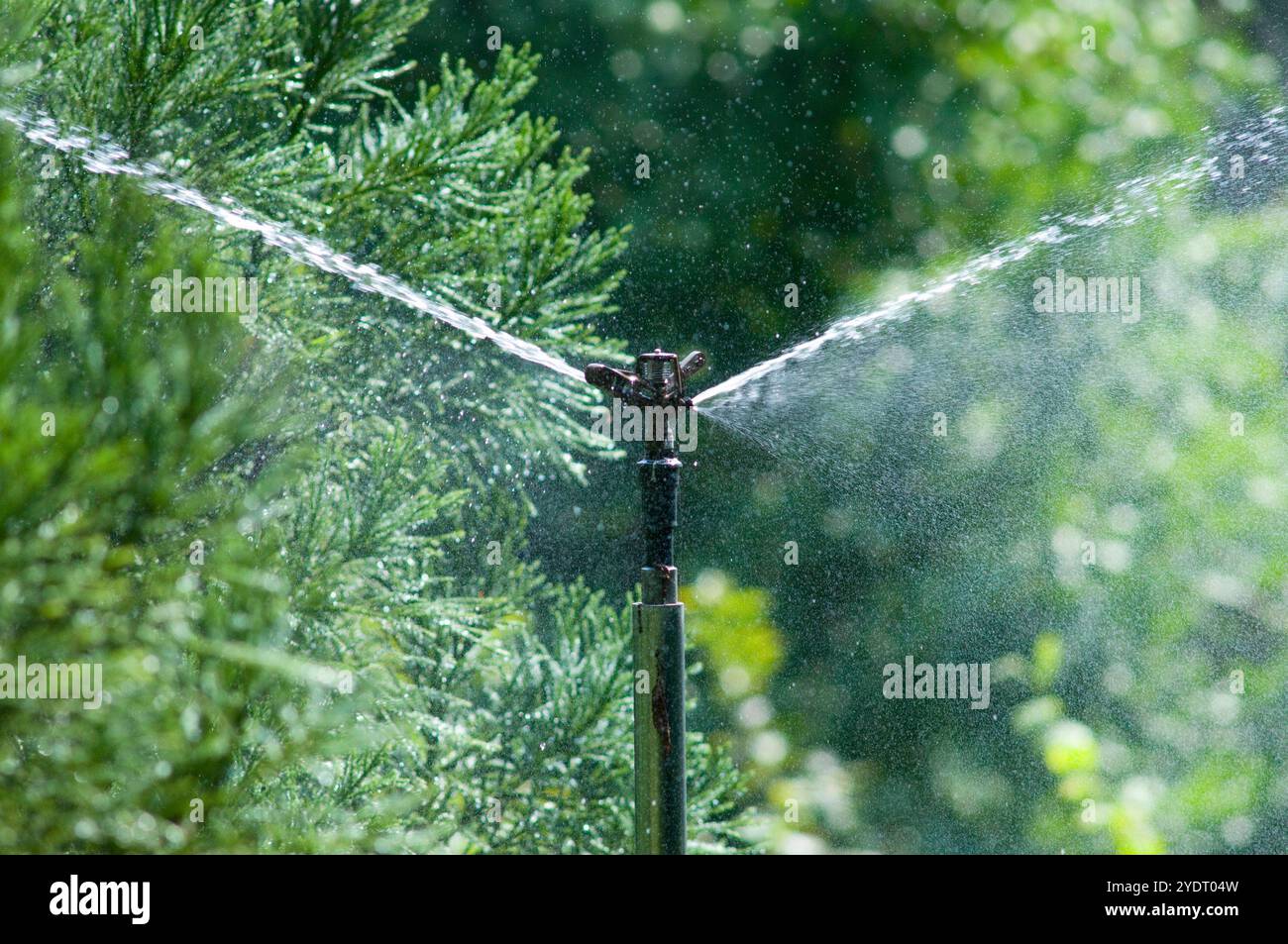 Sprinkler automatic hi-res stock photography and images - Alamy