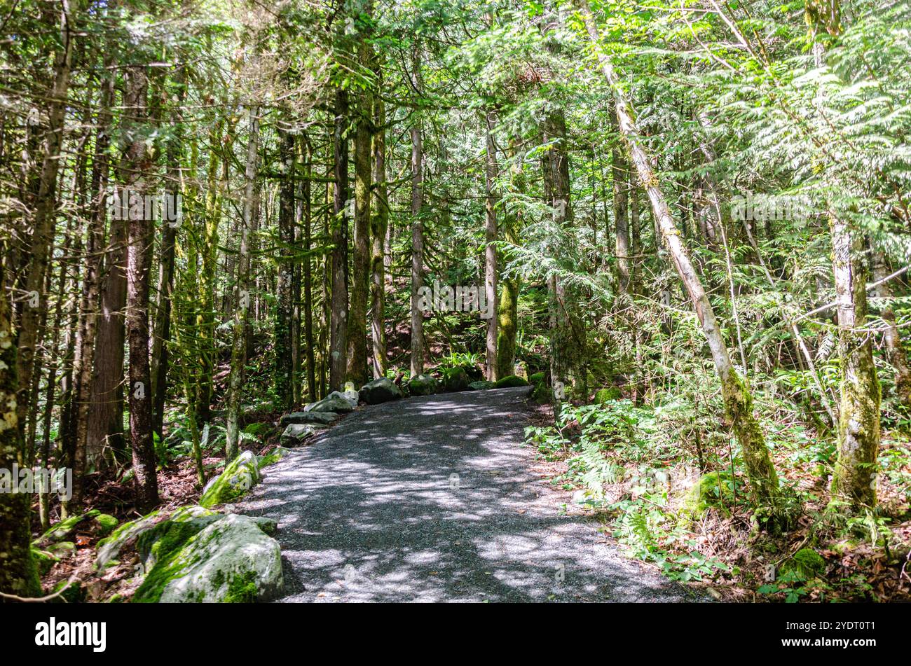 Uphill pathway leading to the Cascade Falls located Northeast of ...