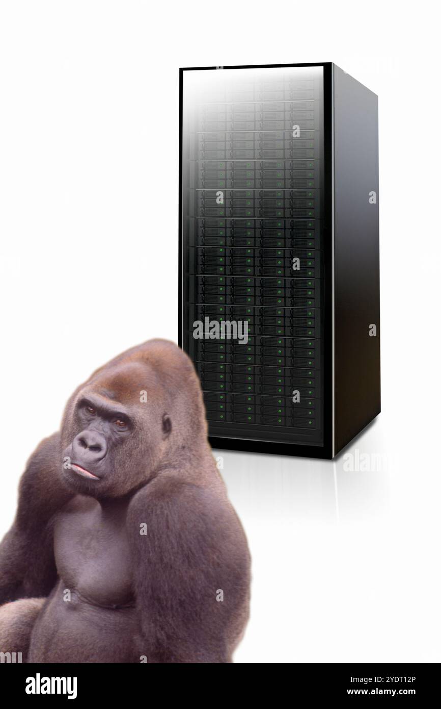 Gorilla technology hi-res stock photography and images - Alamy