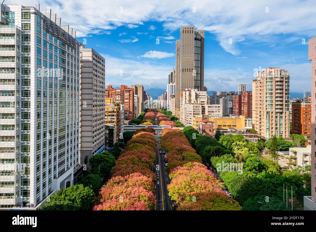 Aerial view of Taipei city in Taiwan with flamegold rain tree blossom ...