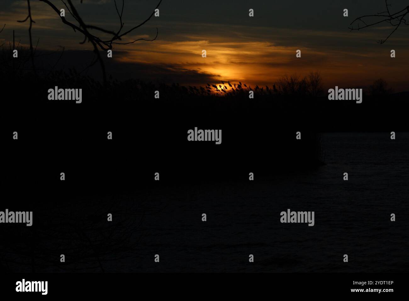 Fall wheatgrass hi-res stock photography and images - Alamy