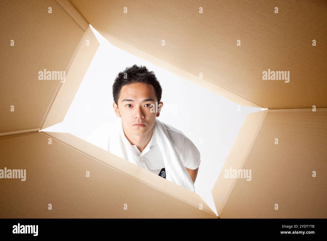 Worker looking into corrugated container Stock Photo - Alamy