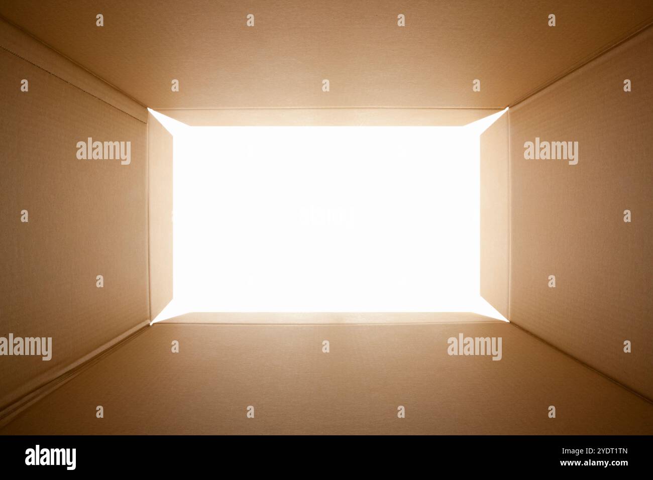Inside a piece of cardboard Stock Photo - Alamy