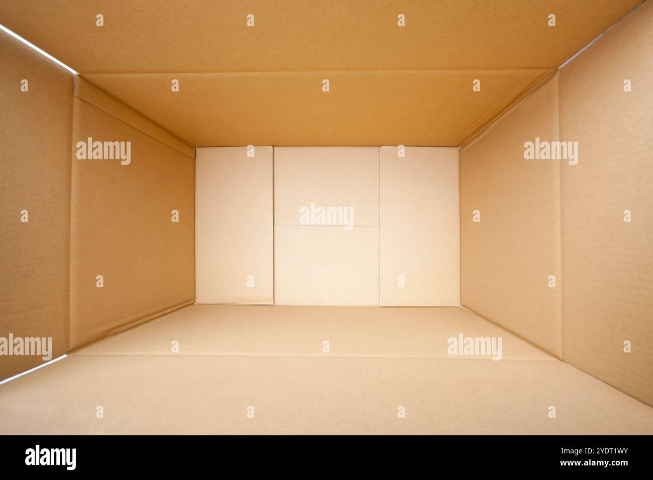 Inside a piece of cardboard Stock Photo - Alamy