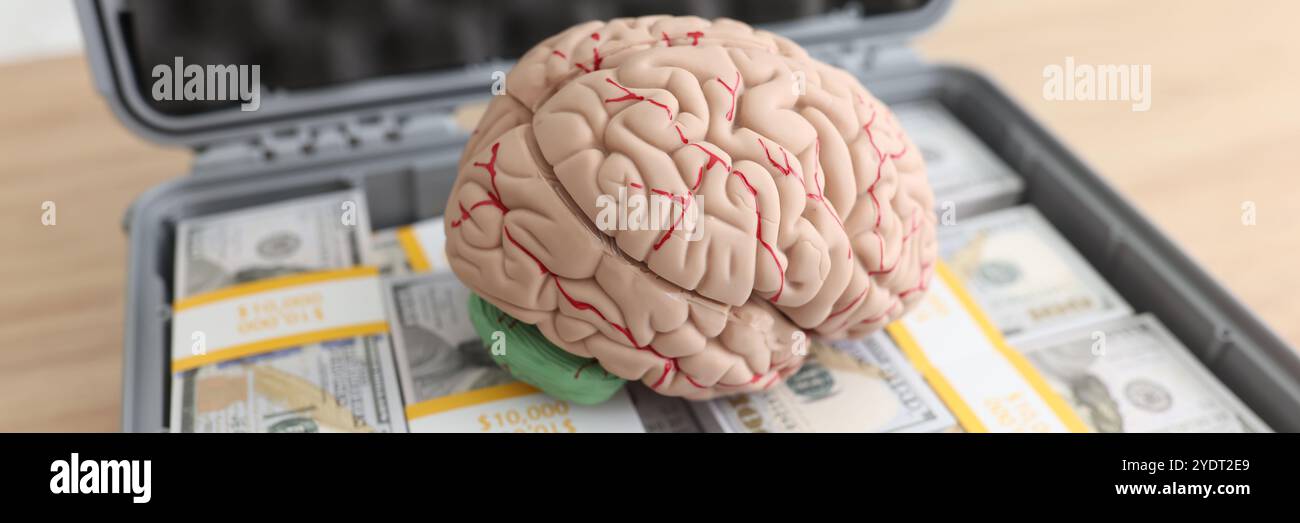 Human brain model on cash money pile in case on floor Stock Photo - Alamy