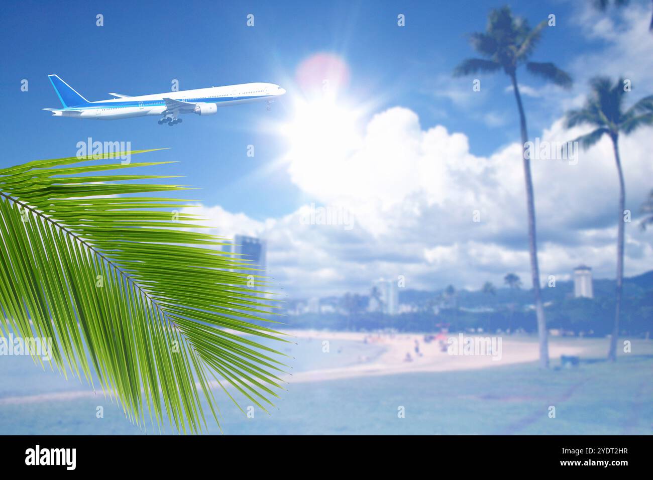Tropical hawaii leaves palm hi-res stock photography and images - Alamy