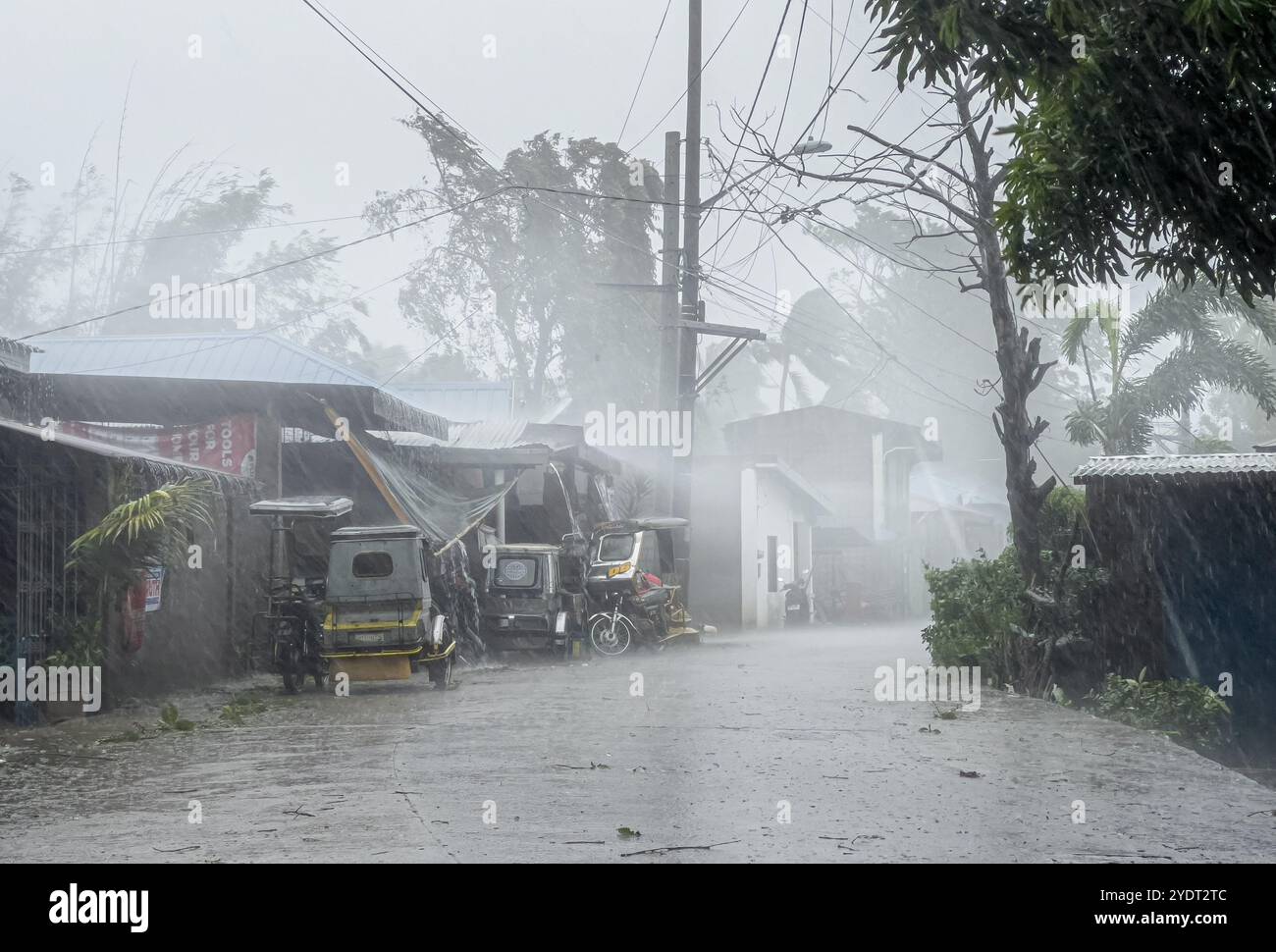 Laguna, Luzon, Philippines.Oct 26,2024: Severe Tropical Cyclone Trami ...