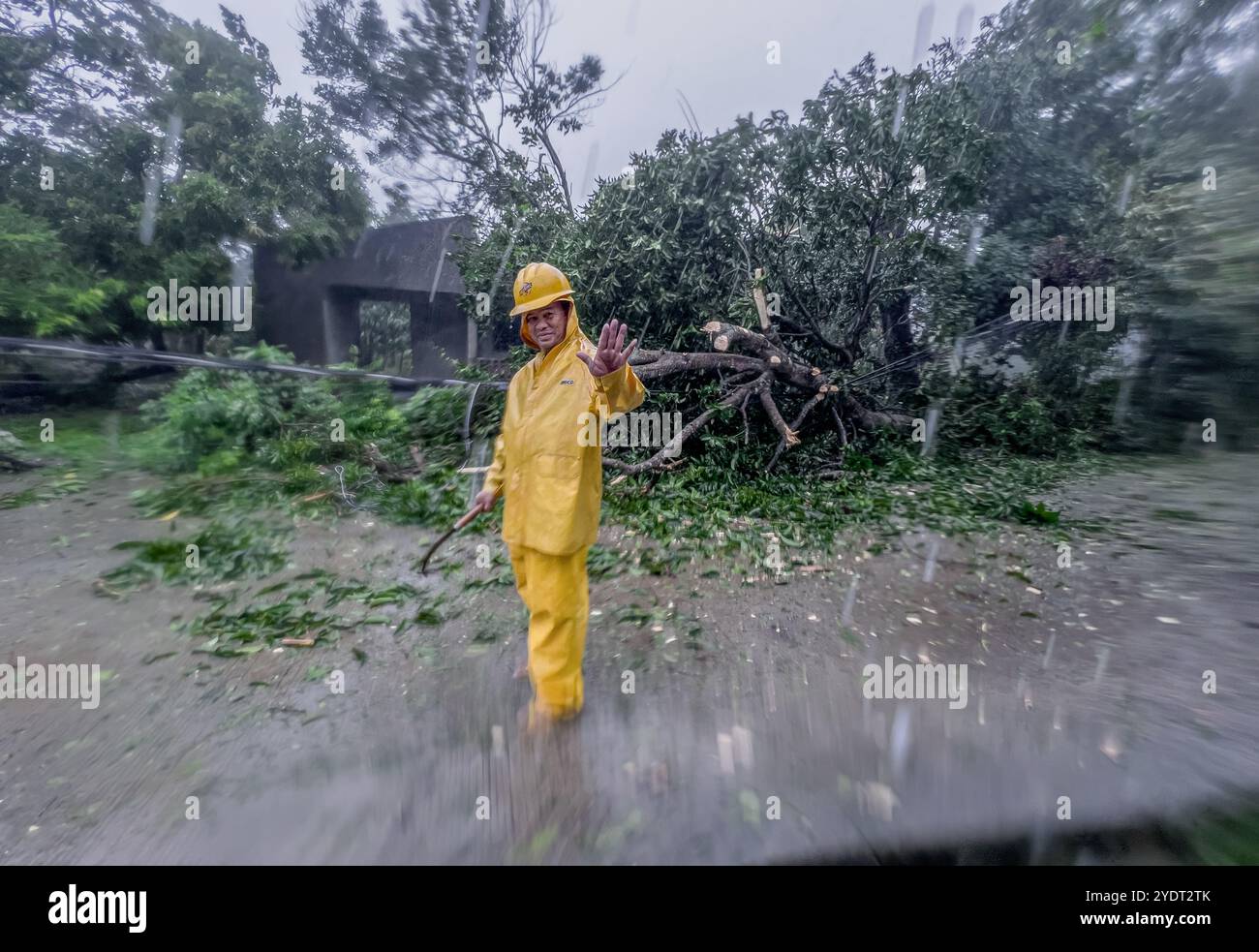 Laguna, Luzon, Philippines.Oct 26,2024: Severe Tropical Cyclone Trami ...
