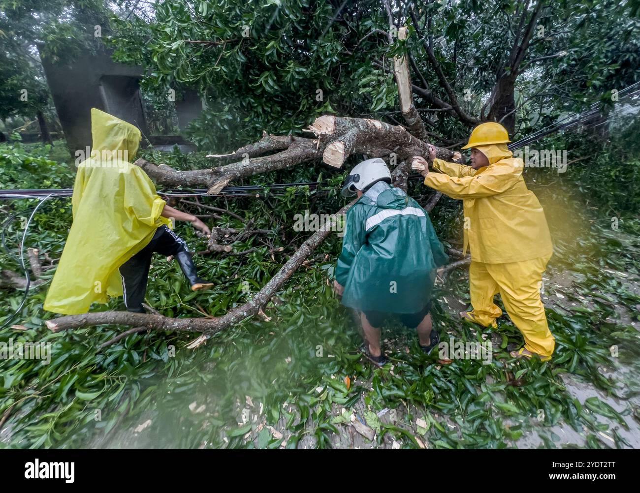 Laguna, Luzon, Philippines.Oct 24,2024: Severe Tropical Cyclone Trami ...