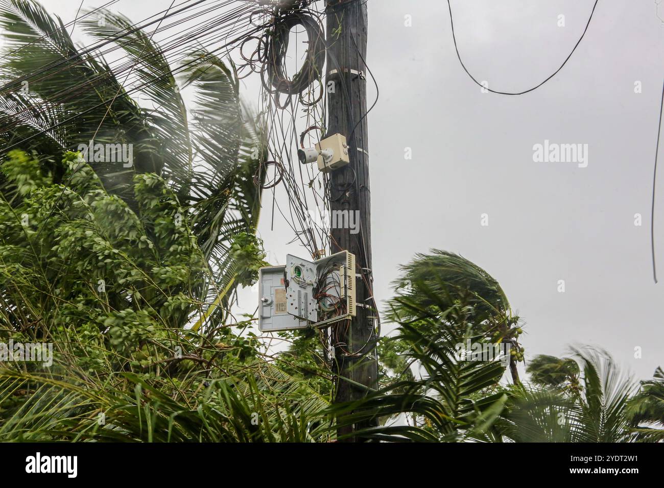 Tropical cyclone trami hi-res stock photography and images - Alamy