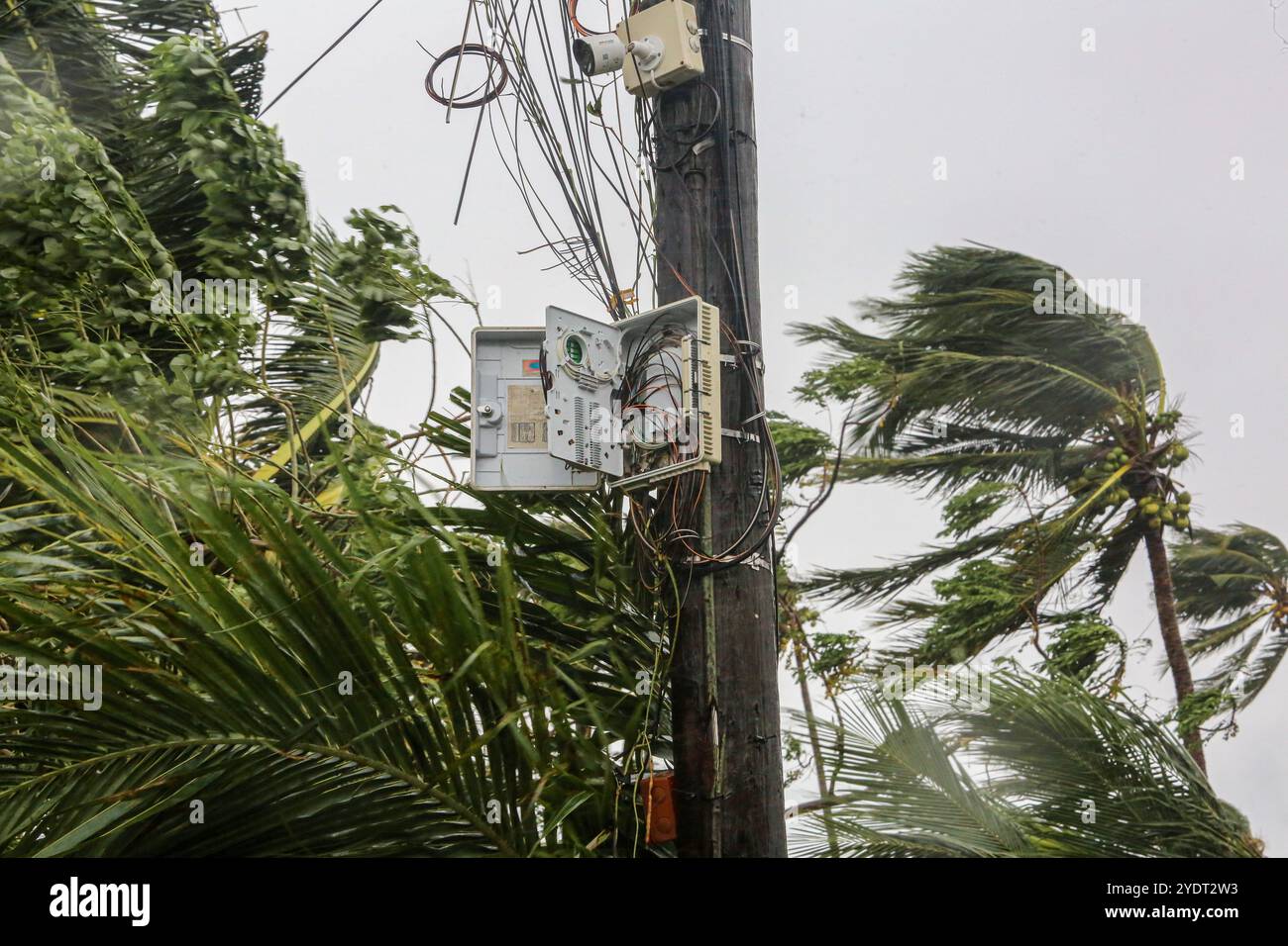 Laguna, Luzon, Philippines.Oct 24,2024: Severe Tropical Cyclone Trami ...