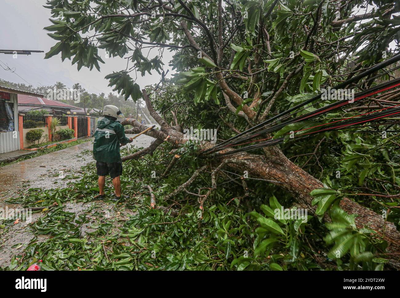 Laguna, Luzon, Philippines.Oct 24,2024: Severe Tropical Cyclone Trami ...