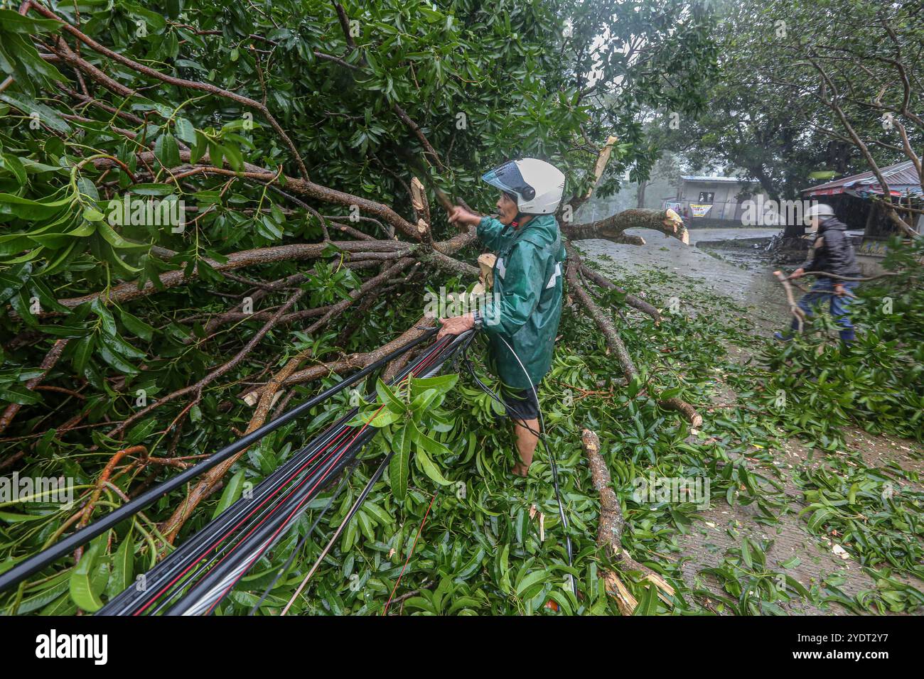 Laguna, Luzon, Philippines.Oct 26,2024: Severe Tropical Cyclone Trami ...