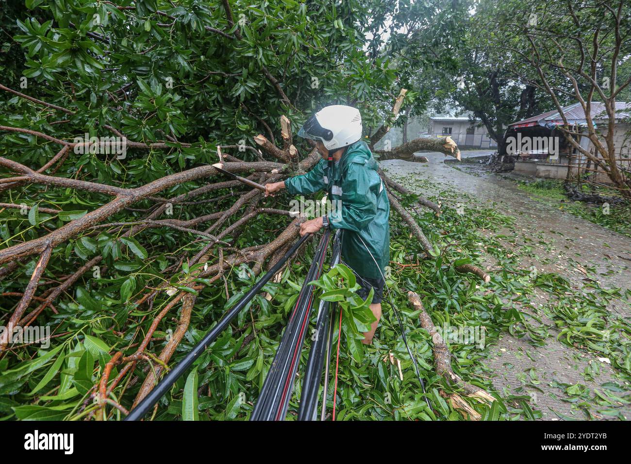 Laguna, Luzon, Philippines.Oct 26,2024: Severe Tropical Cyclone Trami ...