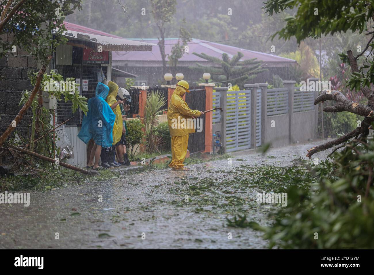 Laguna, Luzon, Philippines.Oct 26,2024: Severe Tropical Cyclone Trami ...
