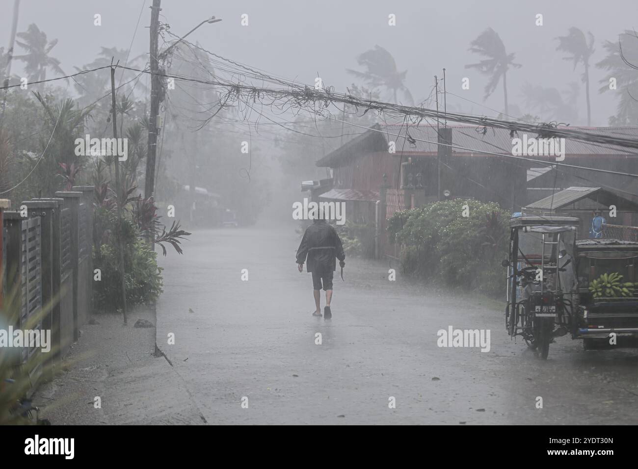 Laguna, Luzon, Philippines.Oct 26,2024: Severe Tropical Cyclone Trami ...