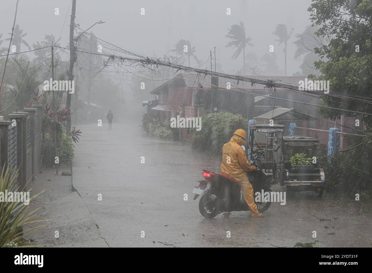 Laguna, Luzon, Philippines.Oct 26,2024: Severe Tropical Cyclone Trami ...