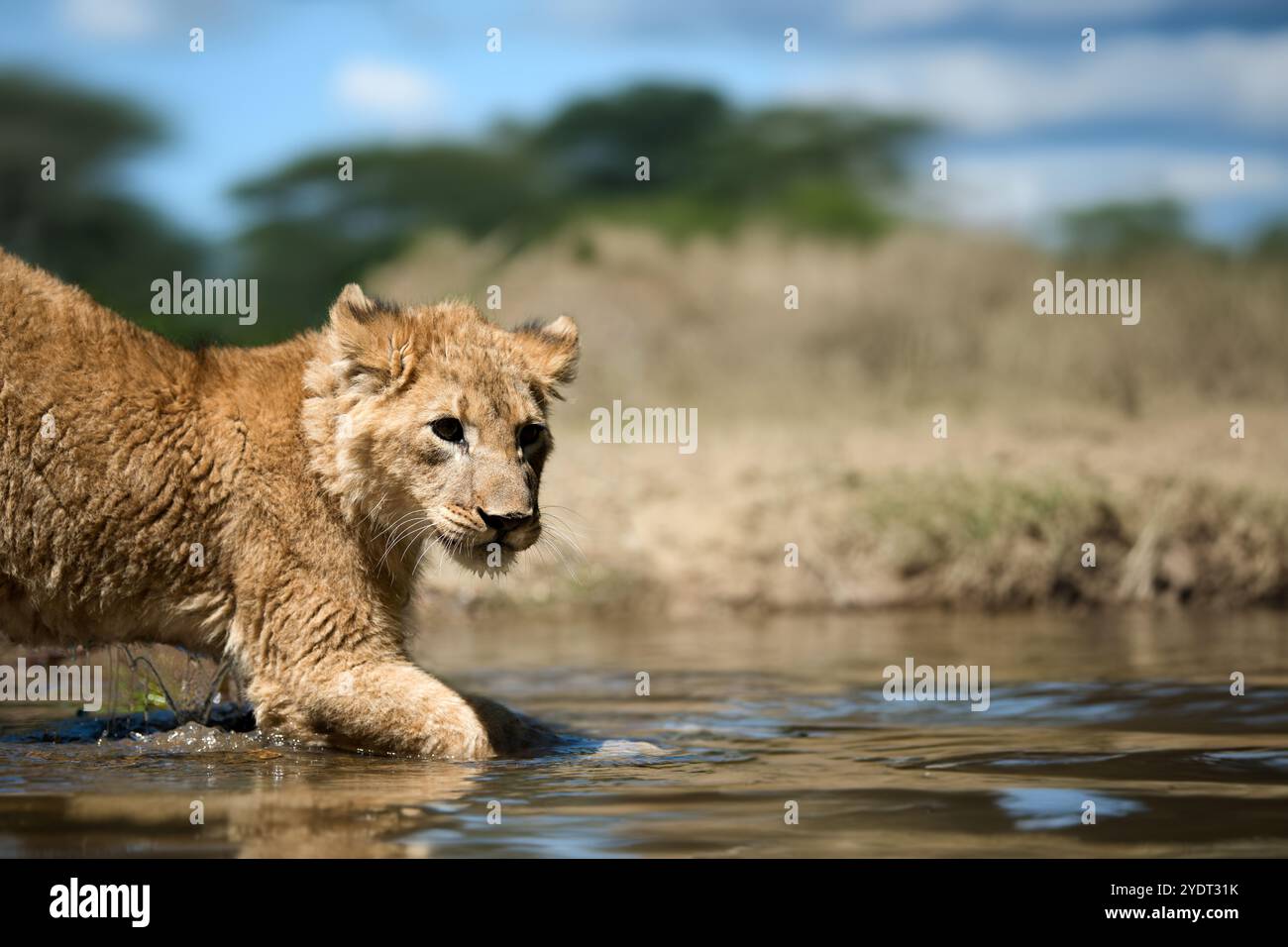 Baby drink water cute hi-res stock photography and images - Alamy