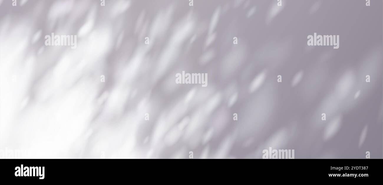 Sun light and shadow on wall overlay background. Grey tree leaf nature ...