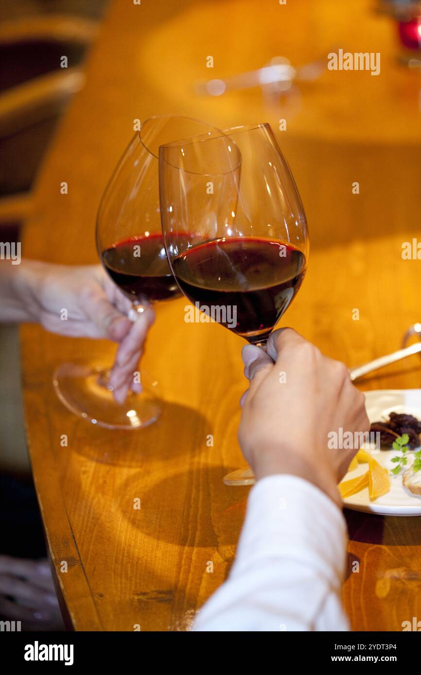 Couple toasting with red wine Stock Photo - Alamy