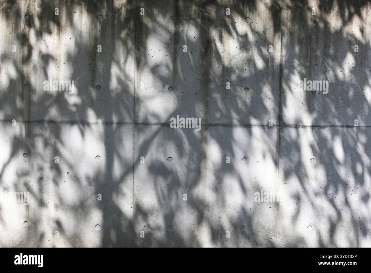 Tree and concrete building hi-res stock photography and images - Alamy