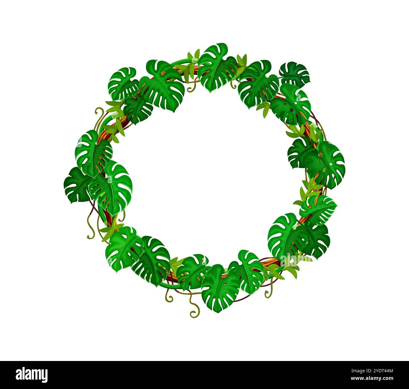 Jungle monstera leaves and liana round frame. Tropical forest nature ...