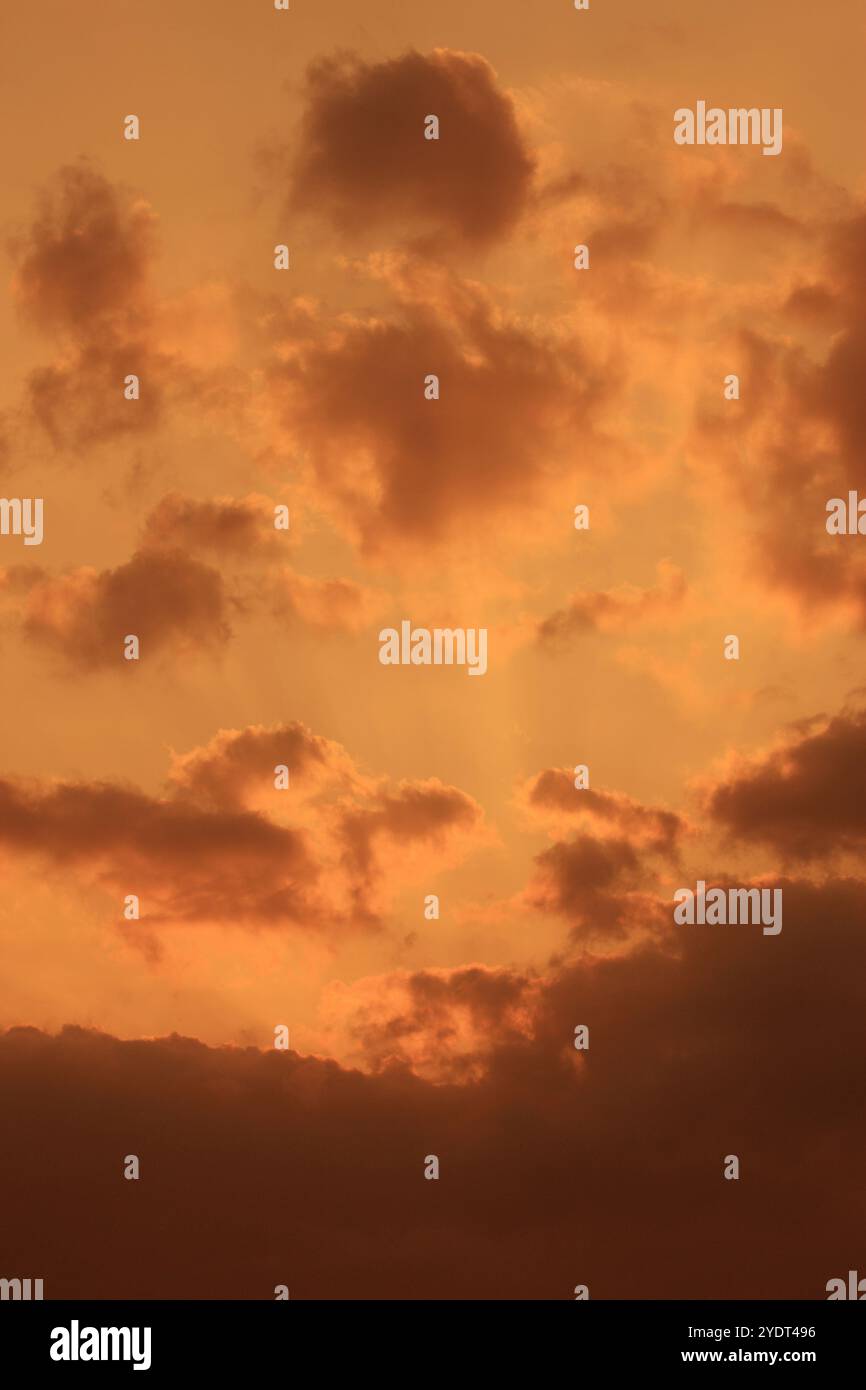 Orange color sky hi-res stock photography and images - Alamy