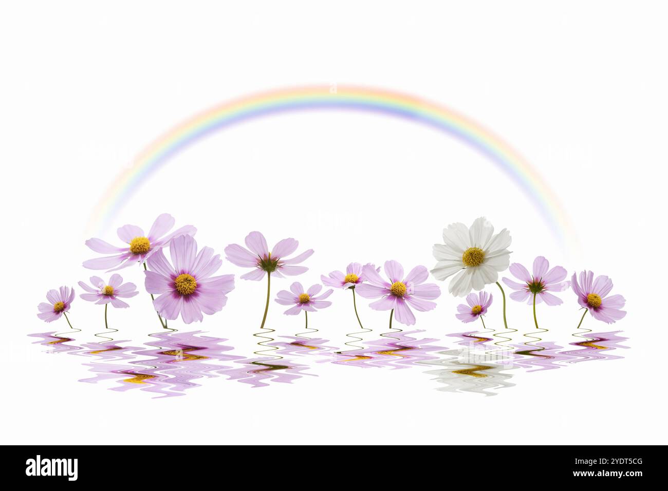 Cosmos and rainbow Stock Photo - Alamy