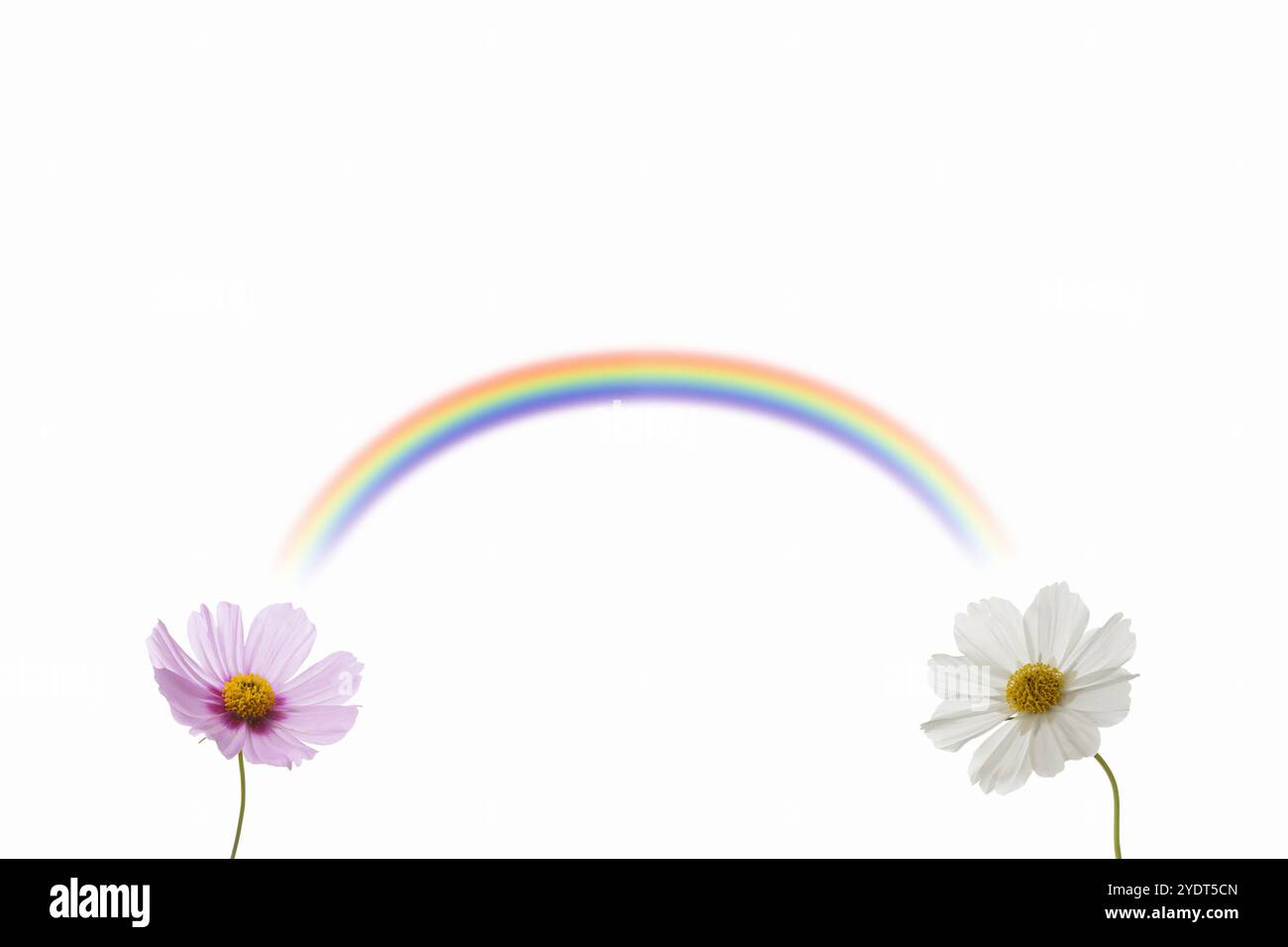 Zoom rainbow hi-res stock photography and images - Alamy