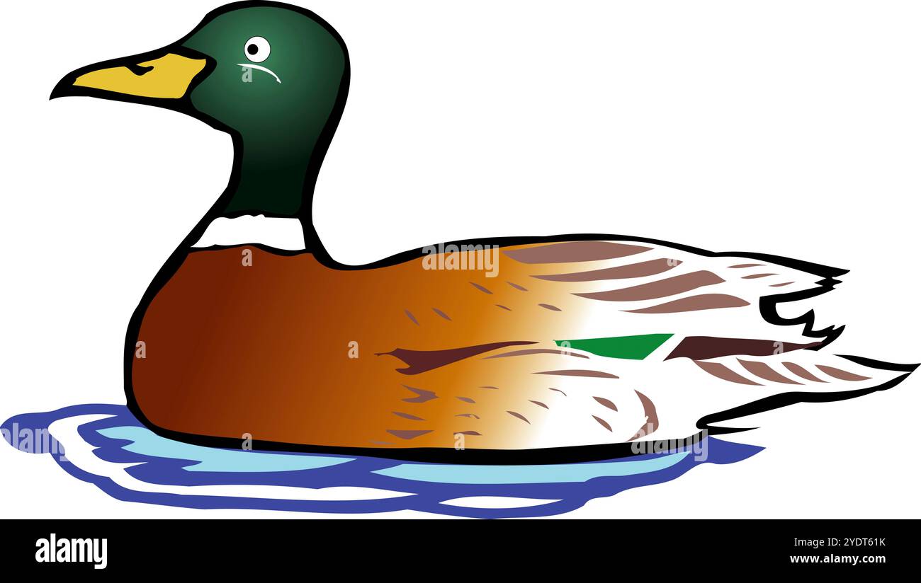Mallard duck migration hi-res stock photography and images - Alamy
