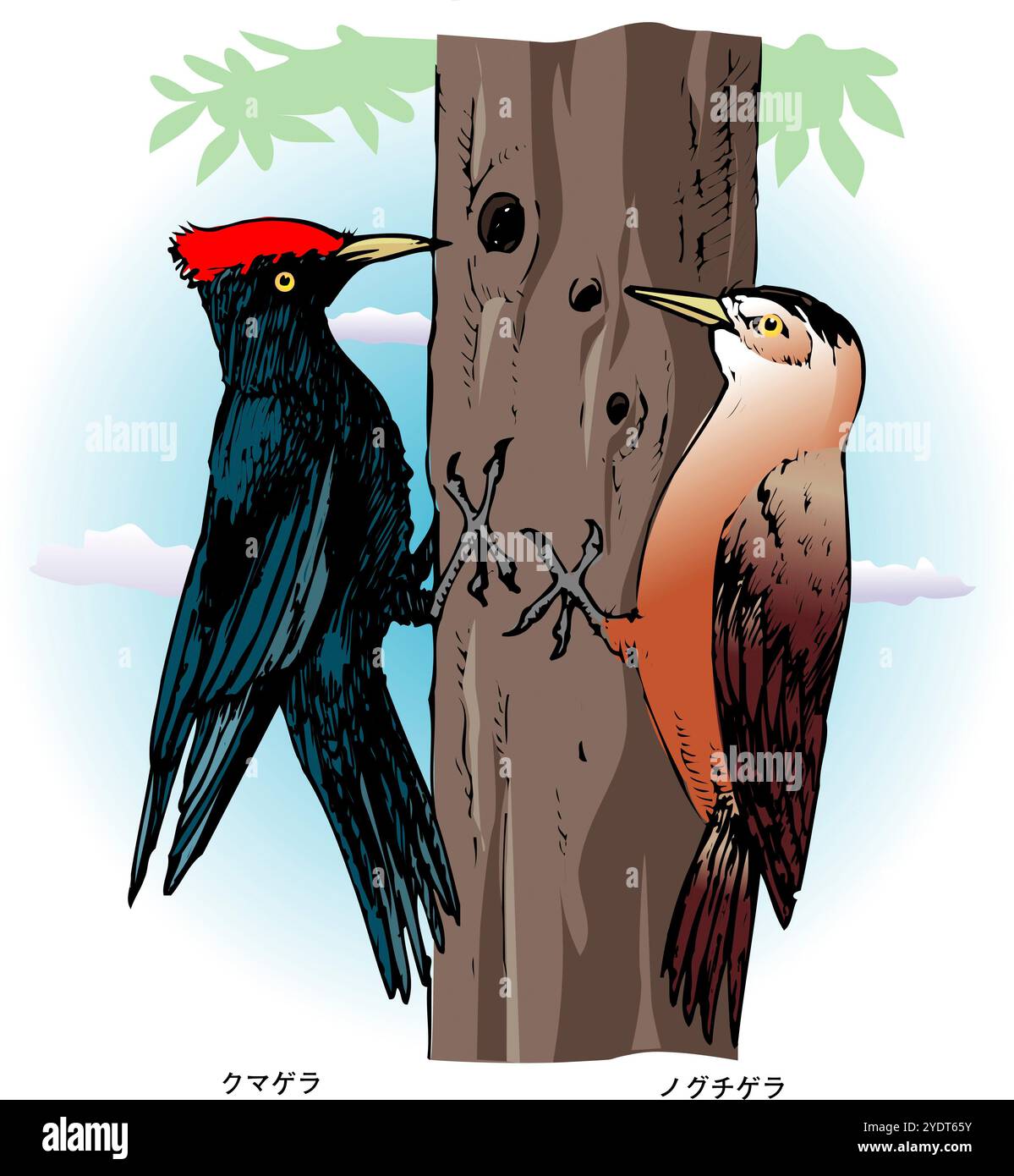 Guerra animal hi-res stock photography and images - Alamy