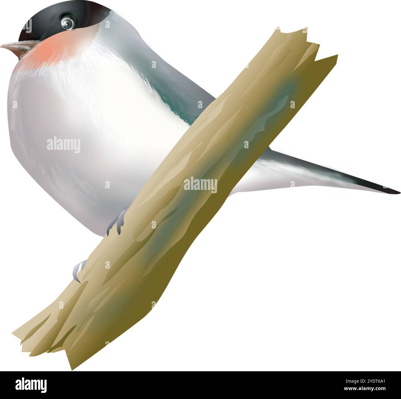 Animal lies Cut Out Stock Images & Pictures - Alamy