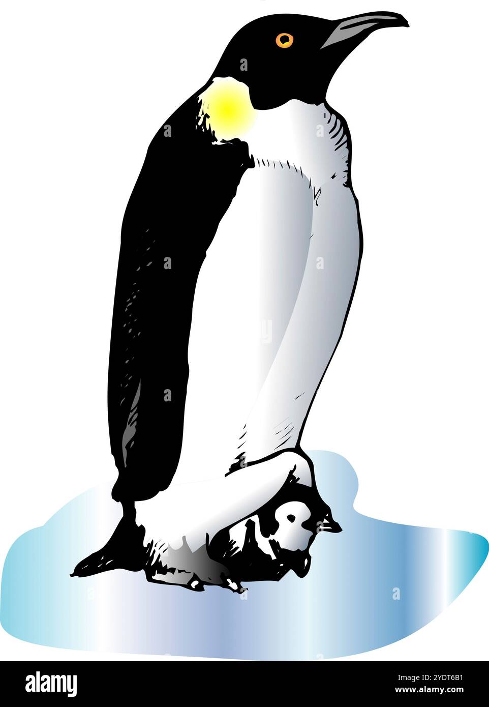 Penguin and child hi-res stock photography and images - Alamy