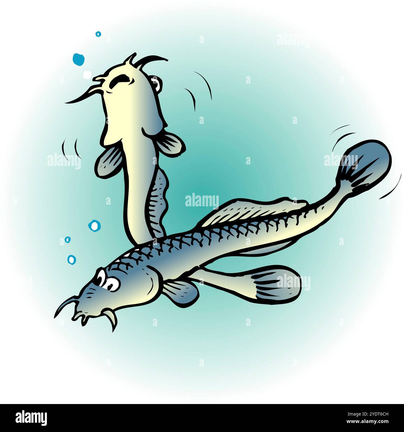 Loach fish not food hi-res stock photography and images - Alamy