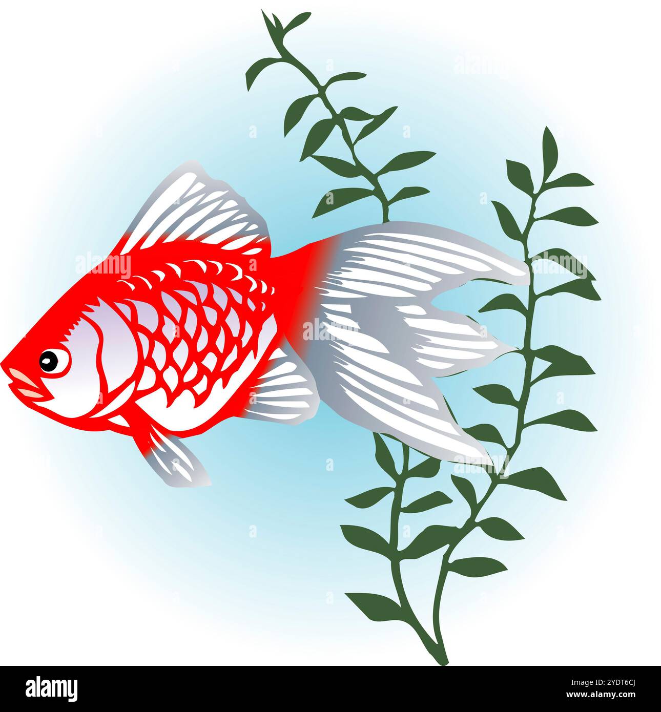 Kingyo Cut Out Stock Images & Pictures - Alamy