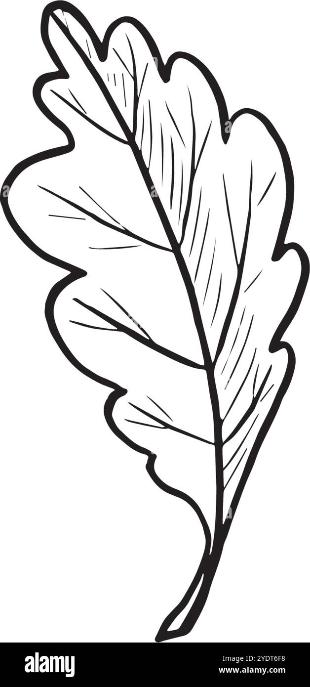 Tree leaf sketch. Vector graphic line illustration, hand drawn isolated ...