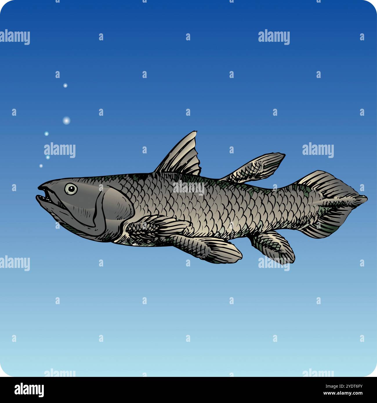 Coelacanth fish hi-res stock photography and images - Alamy