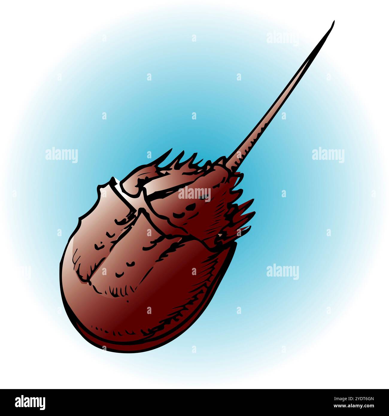 Fossil horseshoe crab Cut Out Stock Images & Pictures - Alamy