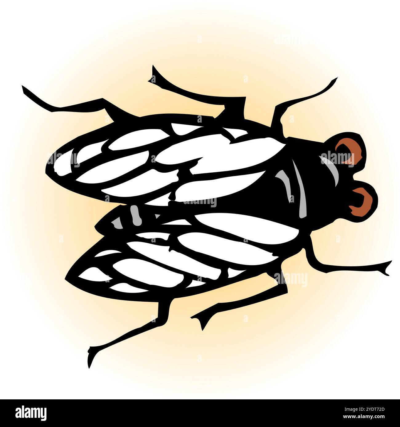 Fly insect cutout hi-res stock photography and images - Alamy