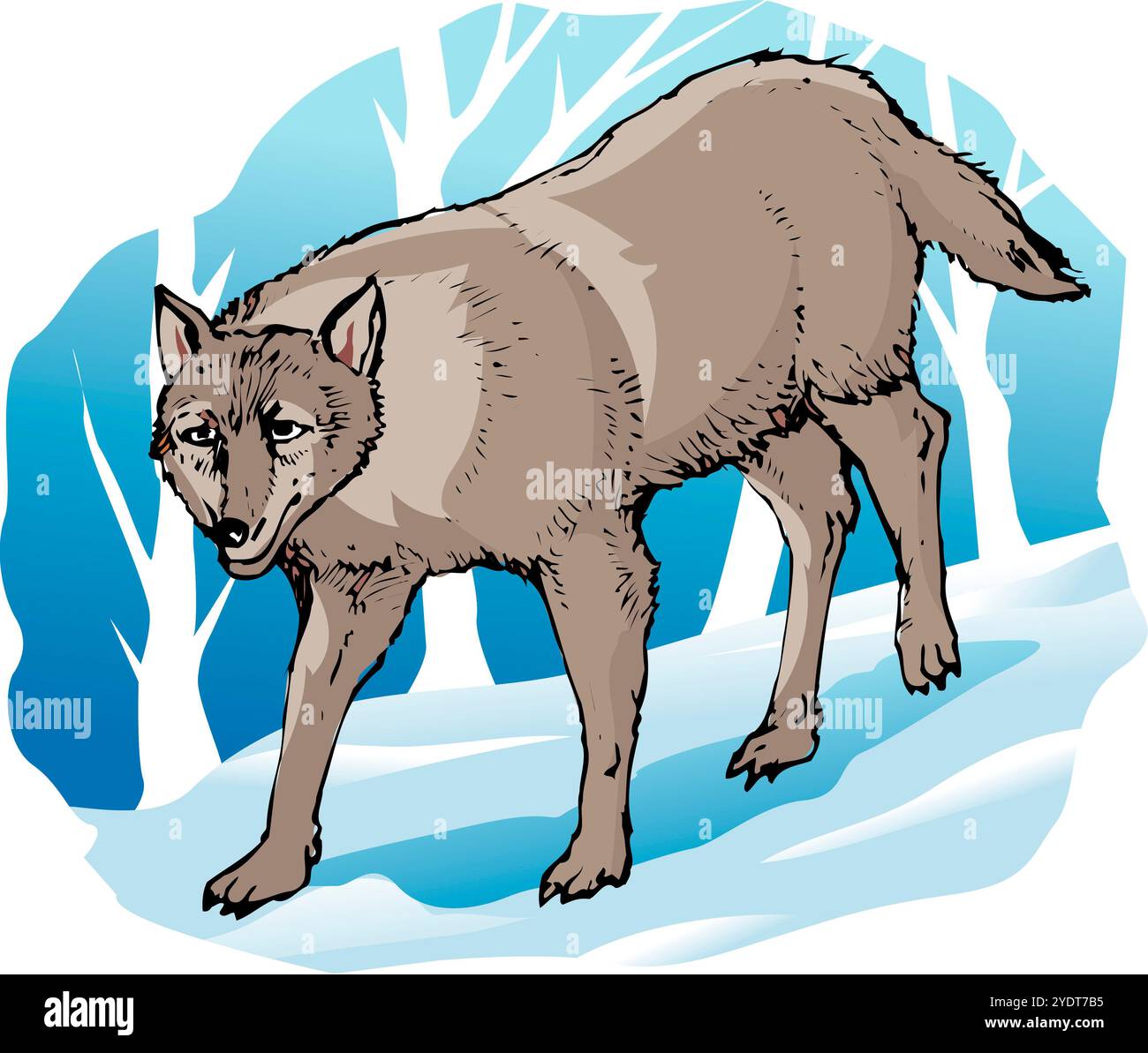 Illustrations wolf hi-res stock photography and images - Alamy