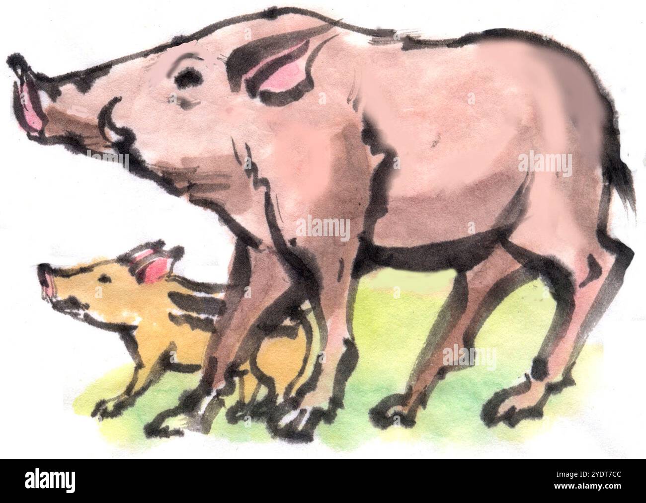 Wild boar and child Stock Photo - Alamy