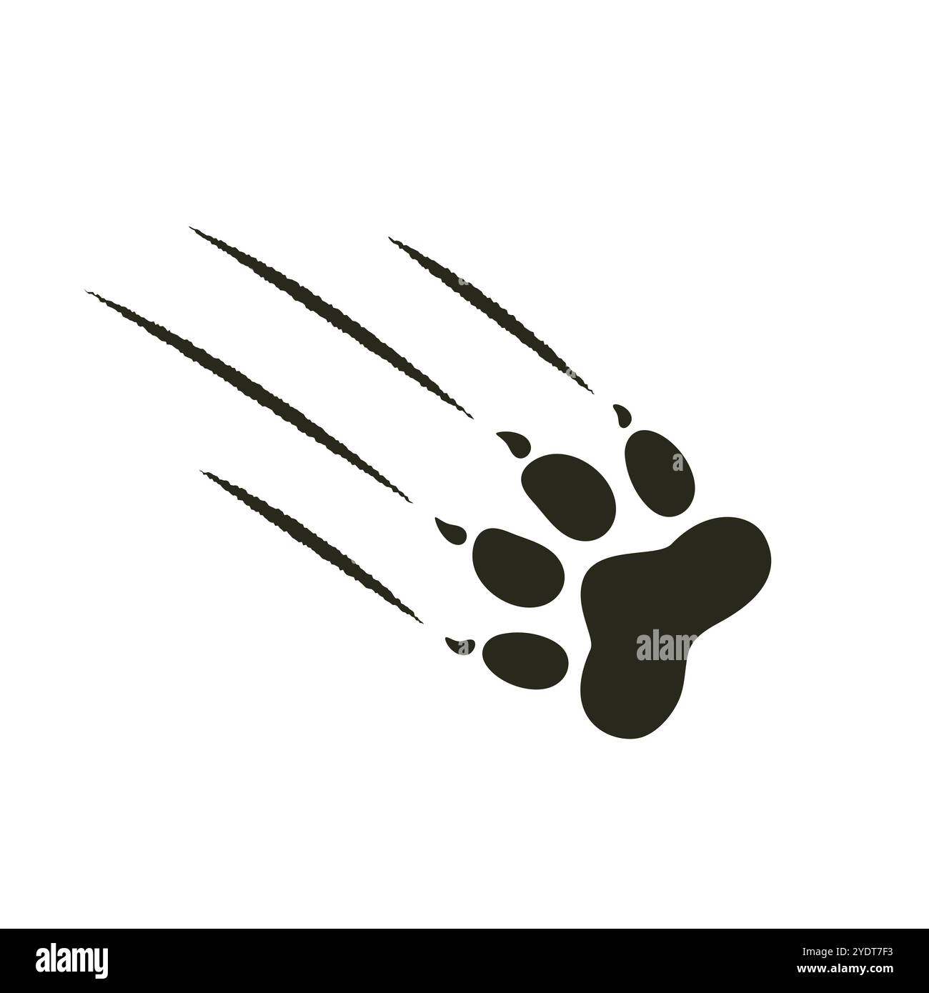 Tiger footprint hi-res stock photography and images - Alamy